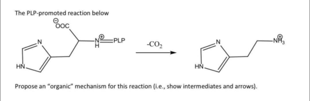 Solved The PLP-promoted reaction below soc PLP NA -CO2 HN. | Chegg.com