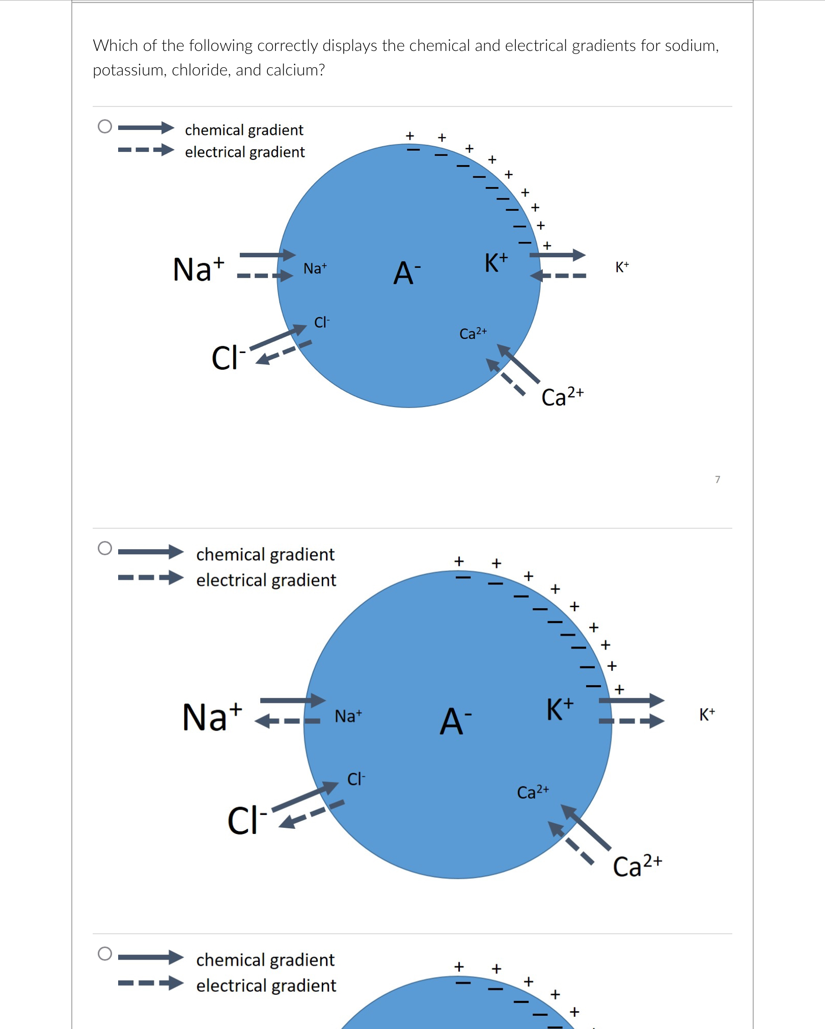 Solved Which of the following correctly displays the | Chegg.com
