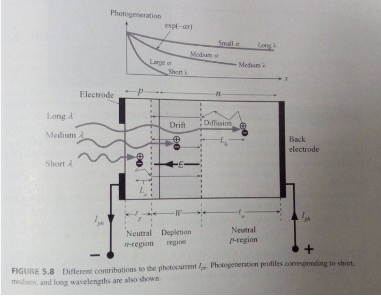 Solved Consider the Si pn junction photodiode shown in | Chegg.com