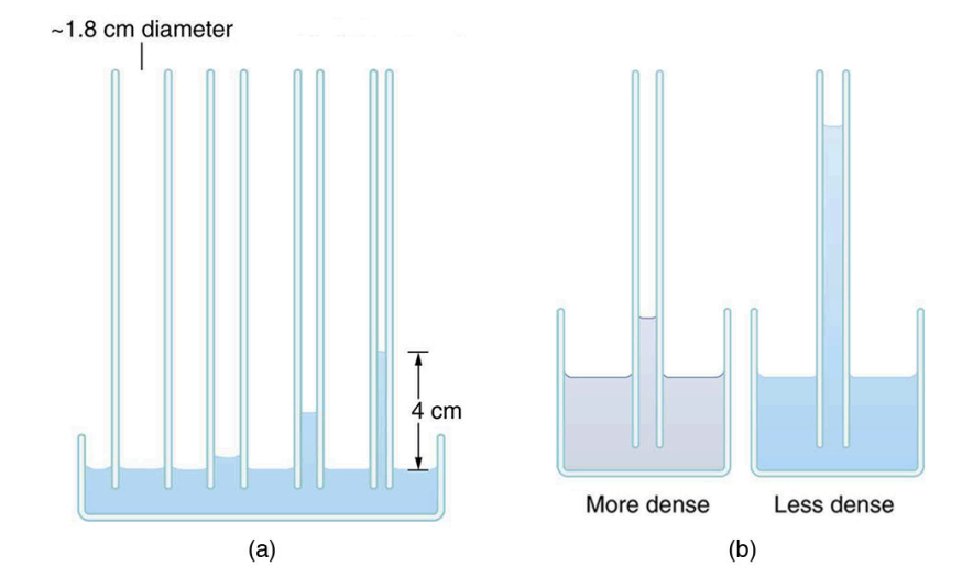 Solved Figure 11.32(a) shows the effect of tube radius on | Chegg.com
