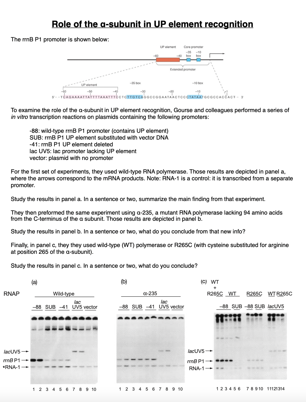 Role of the a-subunit in UP element recognition The | Chegg.com