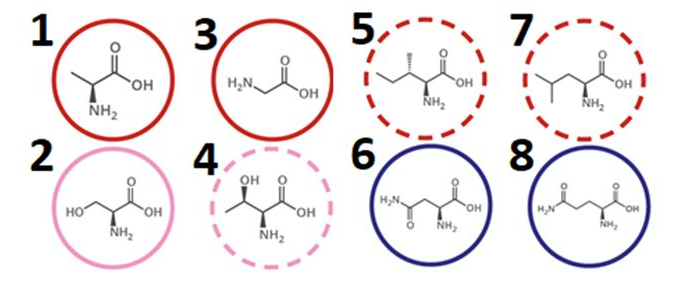 Solved Which of the following amino acids contain polar R | Chegg.com