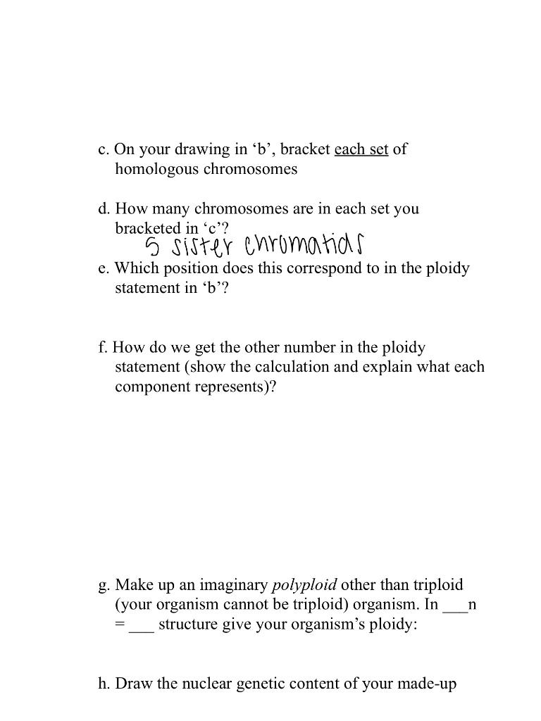 Solved Ploidy is a central concept in genetics a. Define | Chegg.com