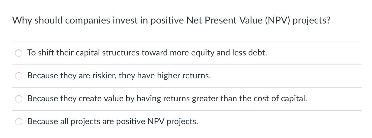 Solved Why should companies invest in positive Net Present | Chegg.com