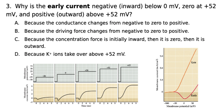 Solved 3. Why is the early current negative (inward) below O | Chegg.com