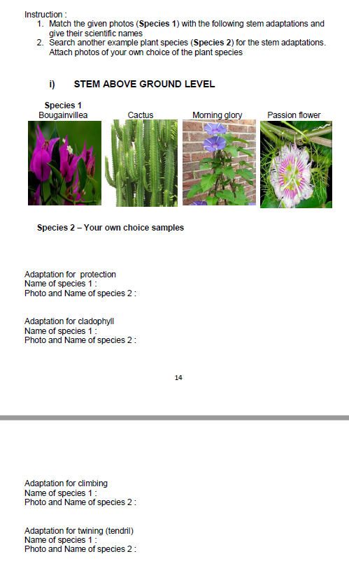 Solved Instruction: 1. Match the given photos (Species 1) | Chegg.com