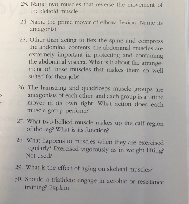 Solved 23. Name two muscles that reverse the movement of the | Chegg.com