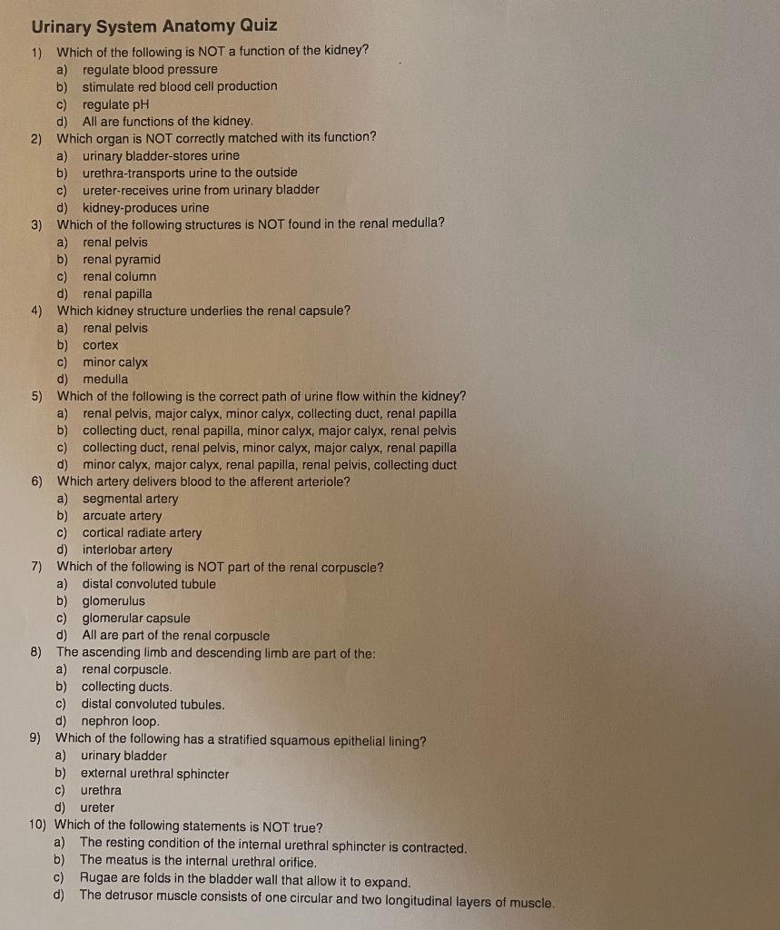 Urinary System Anatomy Quiz 1) Which of the following | Chegg.com