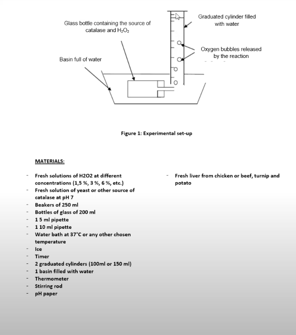 Solved Introduction: proper introduction related to the lab | Chegg.com
