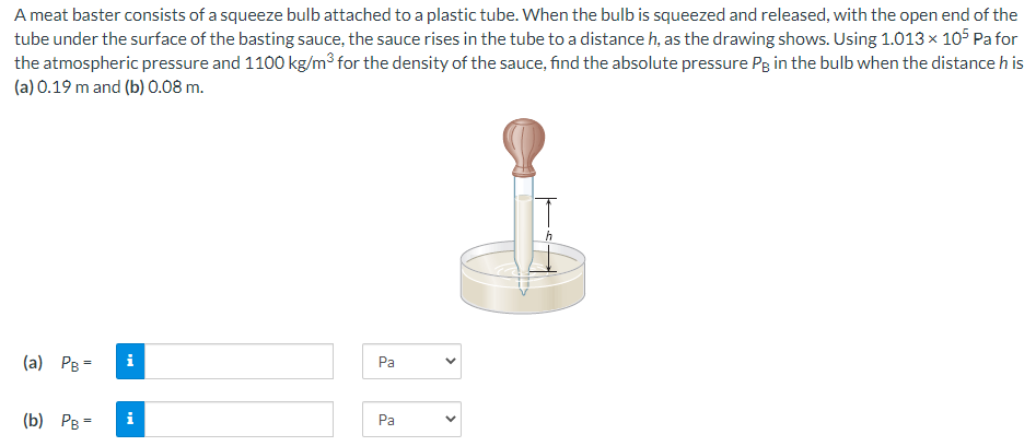 Solved A meat baster consists of a squeeze bulb attached to | Chegg.com