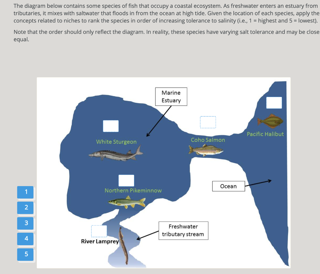 Solved The diagram below contains some species of fish that | Chegg.com