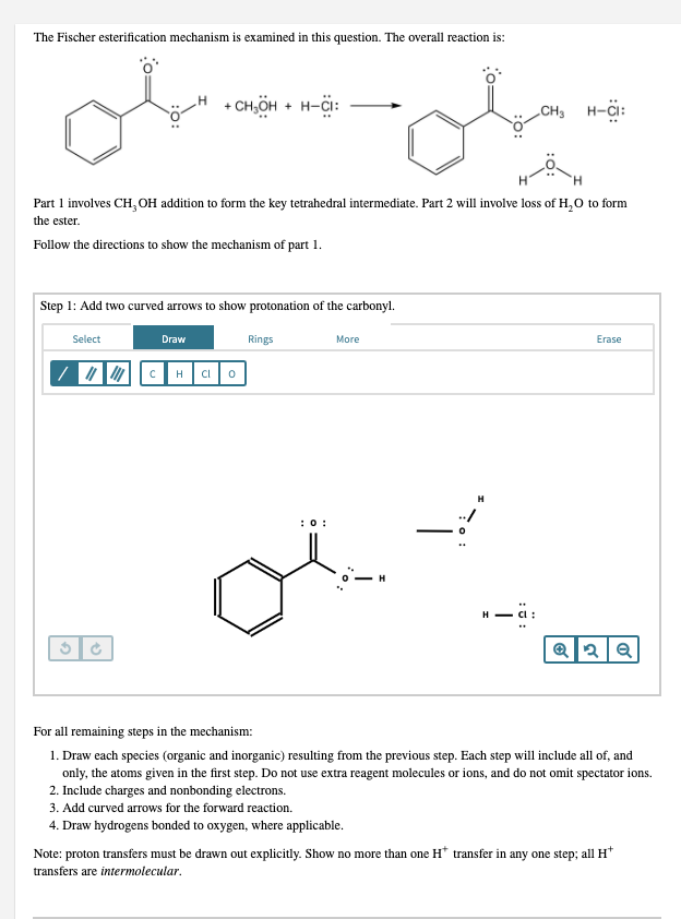 Solved The Fischer esterification mechanism is examined in | Chegg.com
