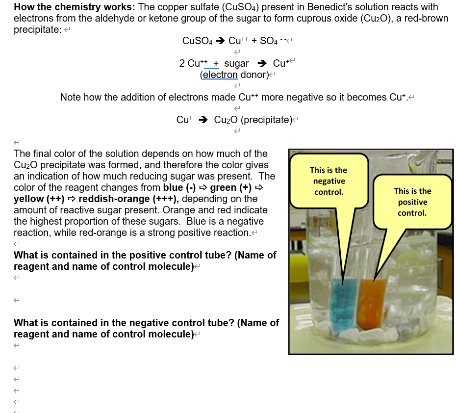 Solved How the chemistry works: The copper sulfate (CuSO4) | Chegg.com