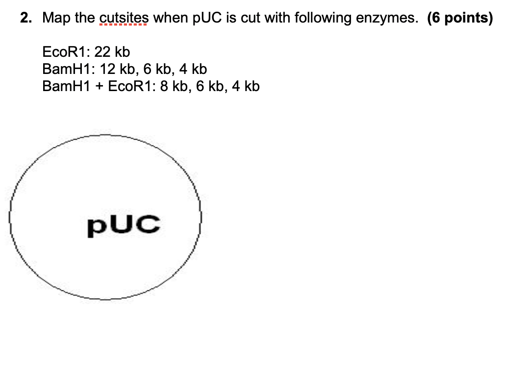 Solved 2. Map the cutsites when pUC is cut with following | Chegg.com
