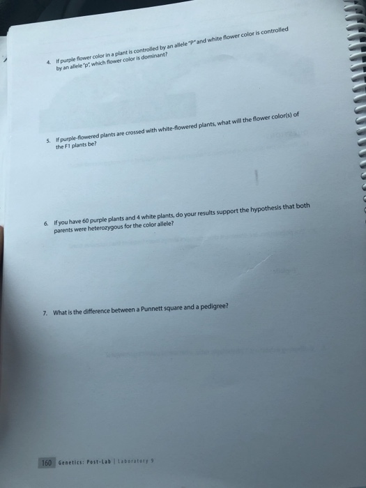 Solved NAME INSTRUCTOR DATE: SECTION/GROUP: POST-LAB: | Chegg.com
