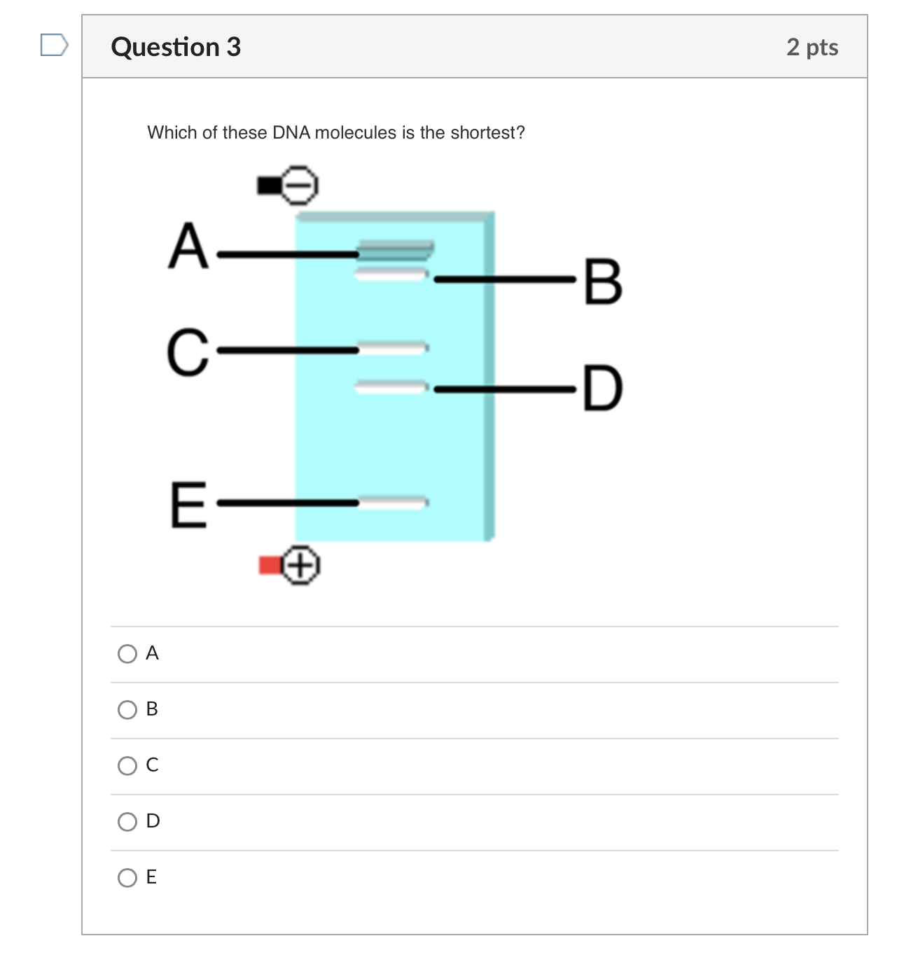 Solved Question 3Which of these DNA molecules is the | Chegg.com