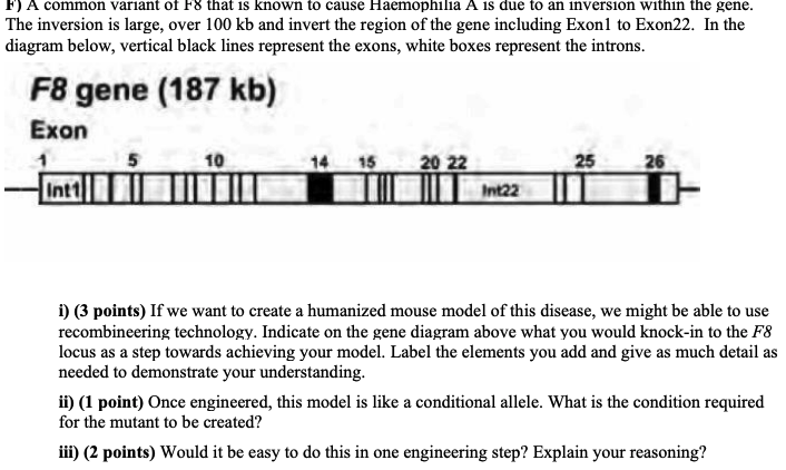 F A Common Variant Of F8 That Is Known To Cause