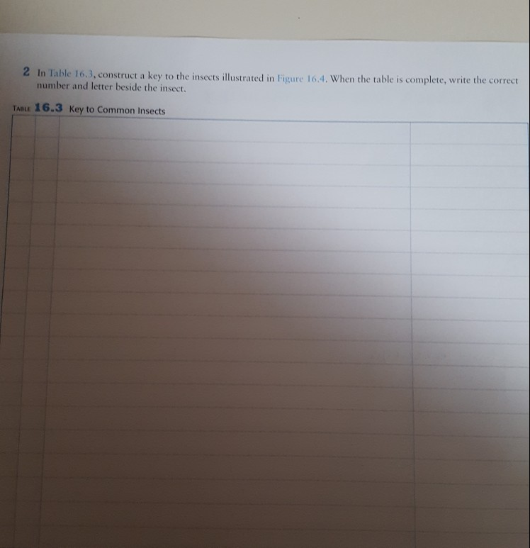 Solved 2 In Table 16.3, construct a key to the insects | Chegg.com