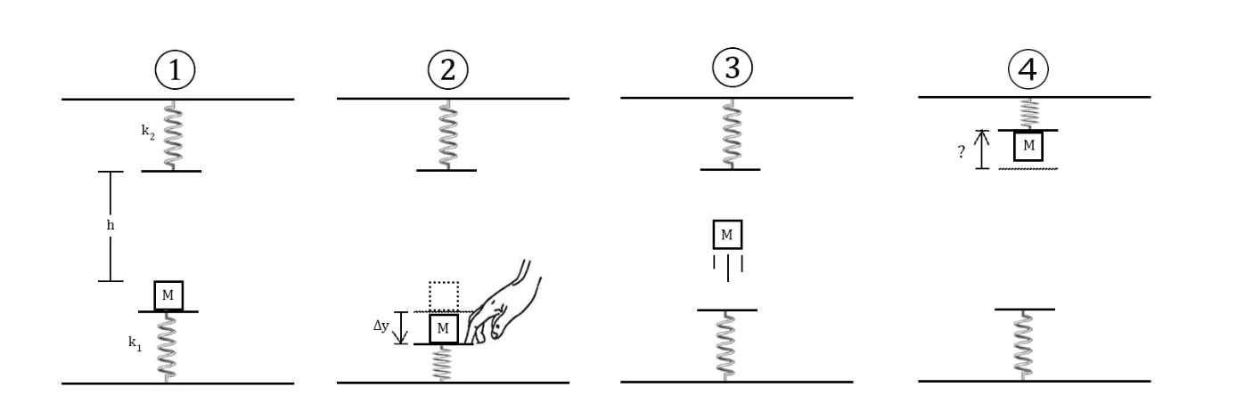 Solved Two Massless Springs With Different Spring Constants