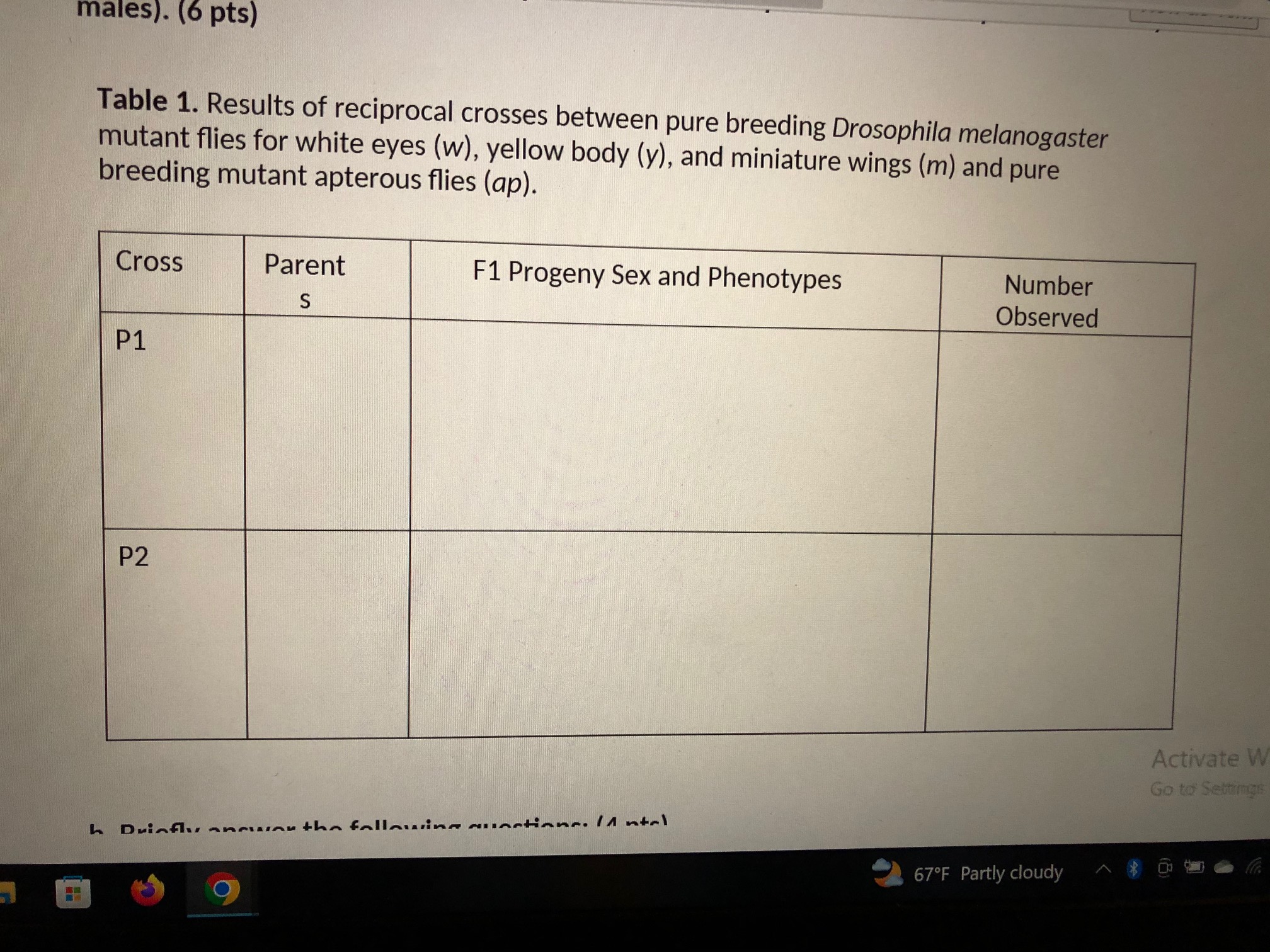 Table 1. Results of reciprocal crosses between pure | Chegg.com