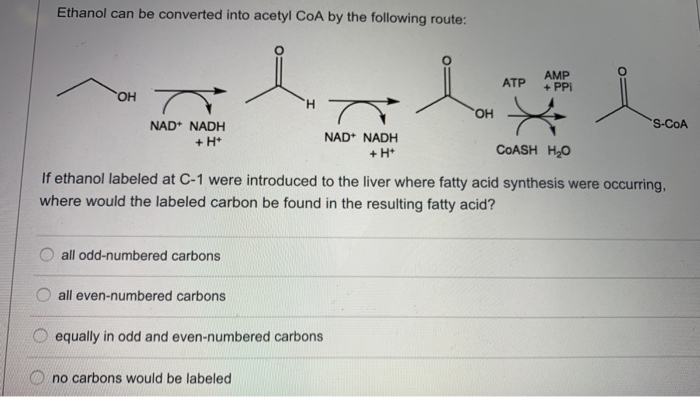 Solved Ethanol can be converted into acetyl COA by the | Chegg.com