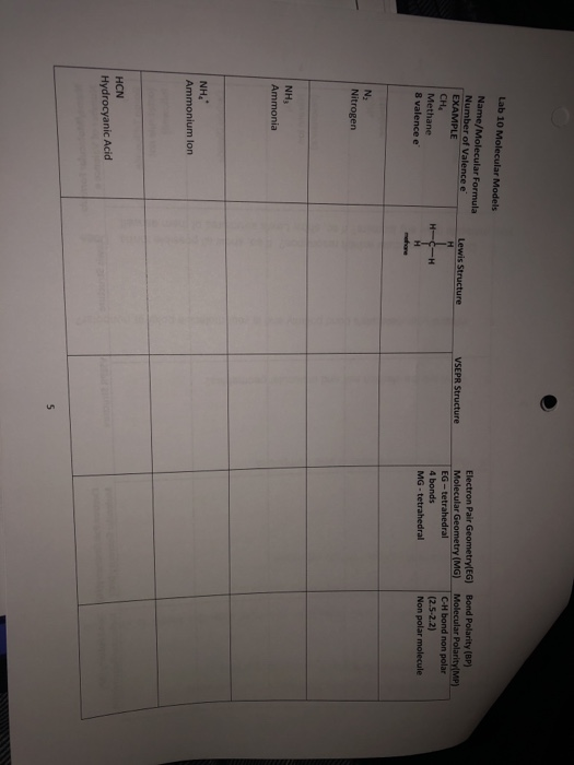 Solved Lab 10 Mole cular Models Name/Molecular Formula | Chegg.com