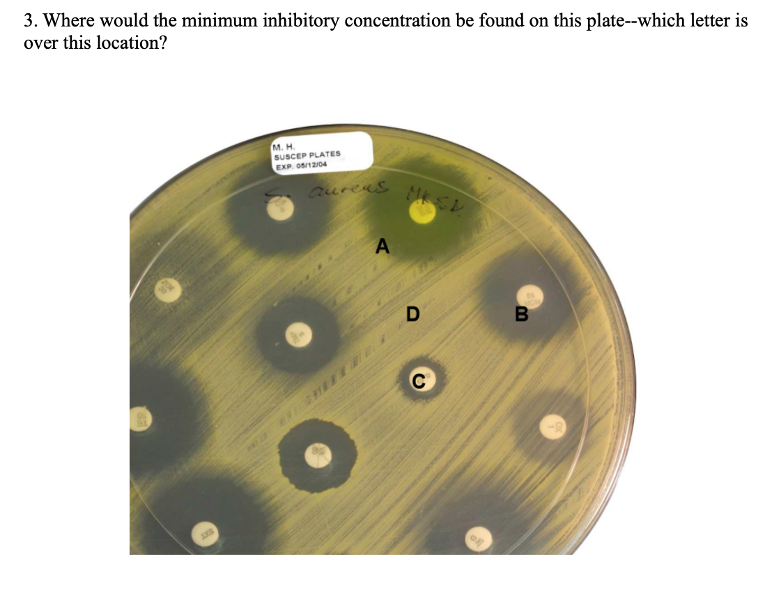 Solved 3. Where would the minimum inhibitory concentration | Chegg.com