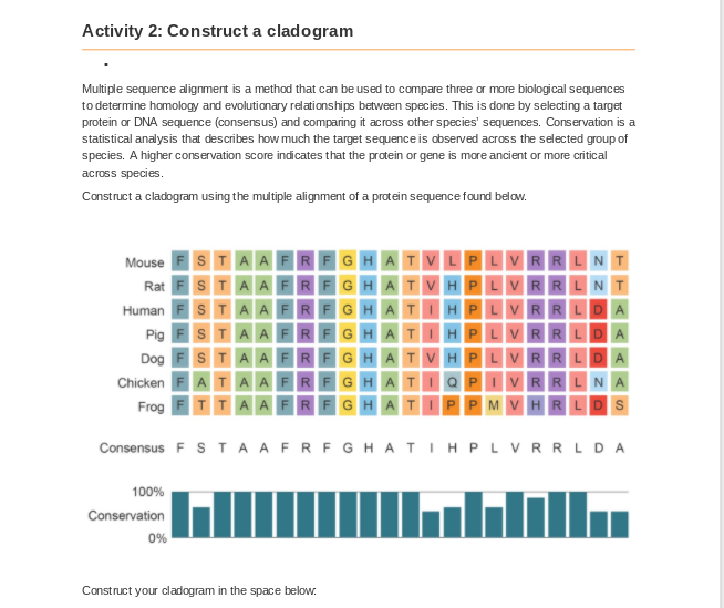 Solved Activity 2: Construct a cladogram Multiple sequence | Chegg.com