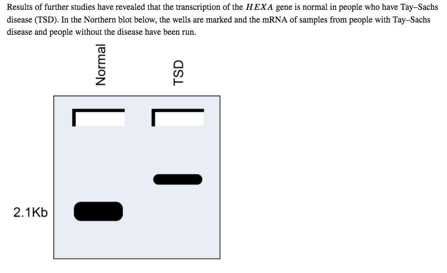 Solved Observe the sequencing data comparing a wild type and | Chegg.com
