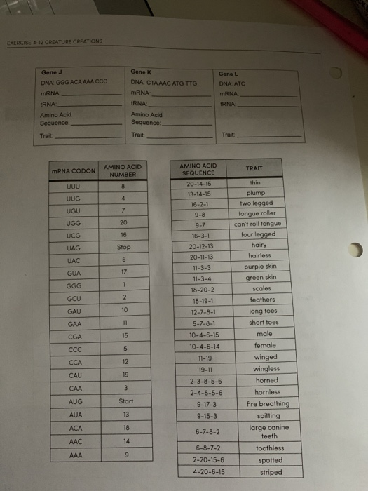 Solved Lab Partner Date STUDENT WORKSHEET Name Creature #2 | Chegg.com
