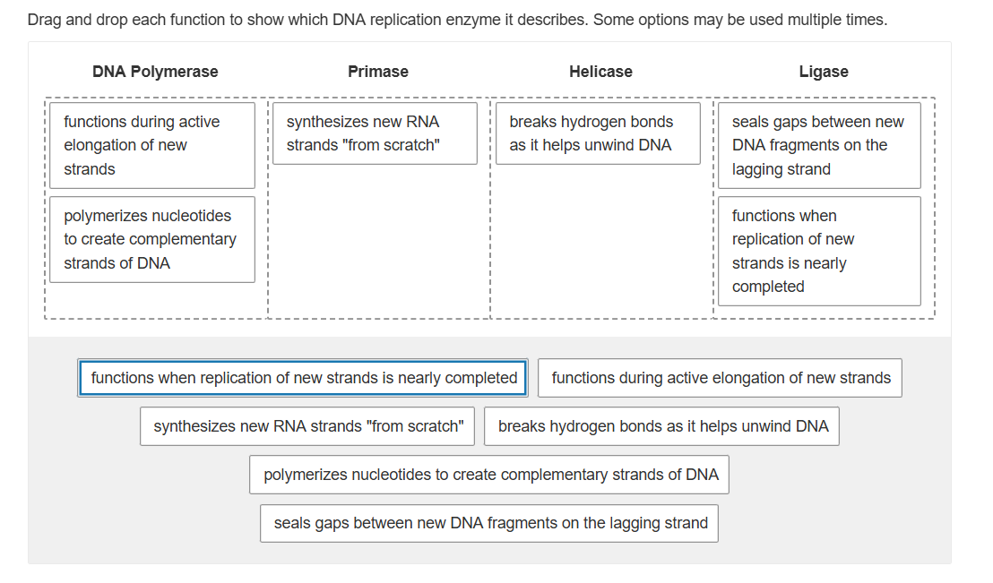 Solved Drag and drop each function to show which DNA | Chegg.com