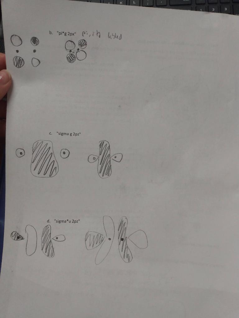 Solved b. "pi* g 2px” peith kabled c. "sigma g 2pz" d. | Chegg.com