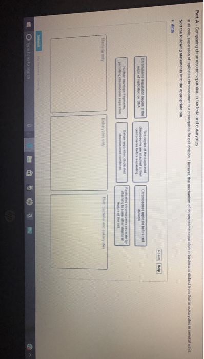 Solved In all cells, separation of replicated chromosomes is | Chegg.com