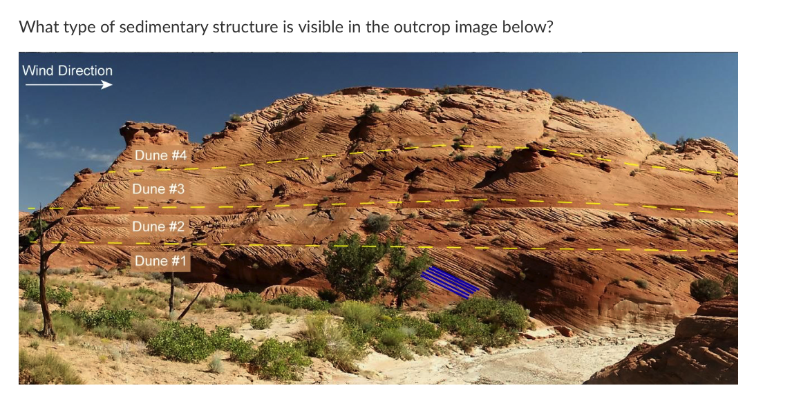 Solved What type of sedimentary structure is visible in the | Chegg.com