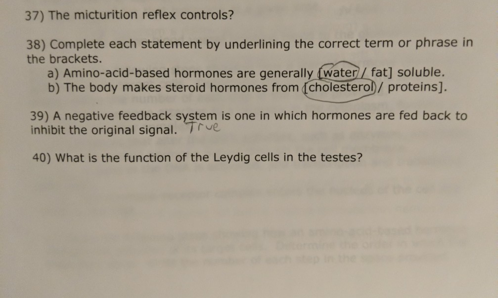 Solved 37) The micturition reflex controls? 38) Complete | Chegg.com