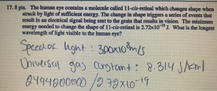 Solved The human eye contains a molecule called | Chegg.com