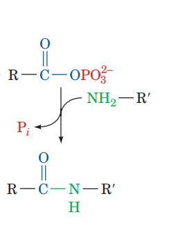 Solved Illustrate the arrow-pushing mechanism of this | Chegg.com