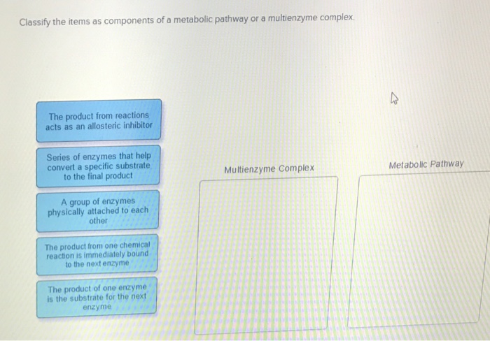 Solved Classify the items as components of a metabolic | Chegg.com