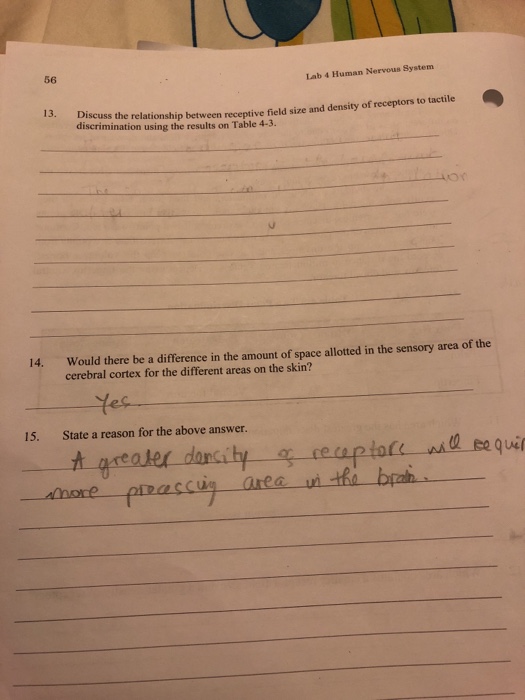 Solved Lab 4 Human Nervous System TwO POINT DISCRIMINATION | Chegg.com