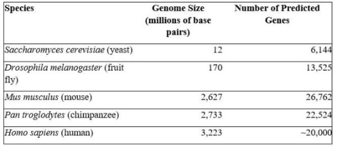 Solved Based on the table, which species has the LOWEST and | Chegg.com