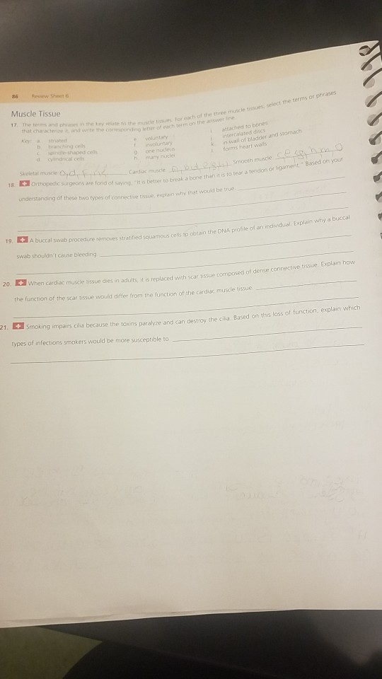 for each of the three minste sowas select the terms | Chegg.com