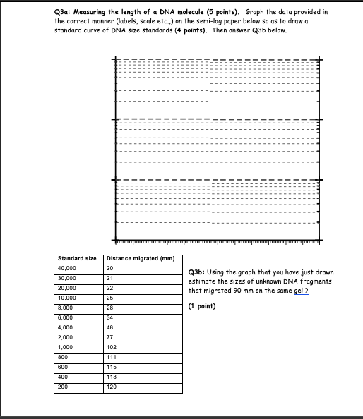 Solved Q3a: Measuring the length of a DNA molecule (5 | Chegg.com