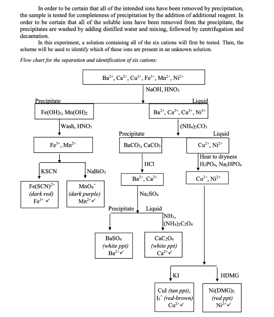 4. In addition to the step-by-step instructions, the | Chegg.com