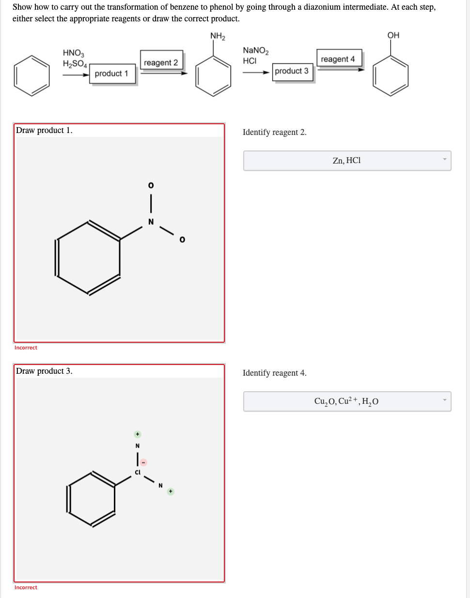 Solved Show how to carry out the transformation of benzene | Chegg.com