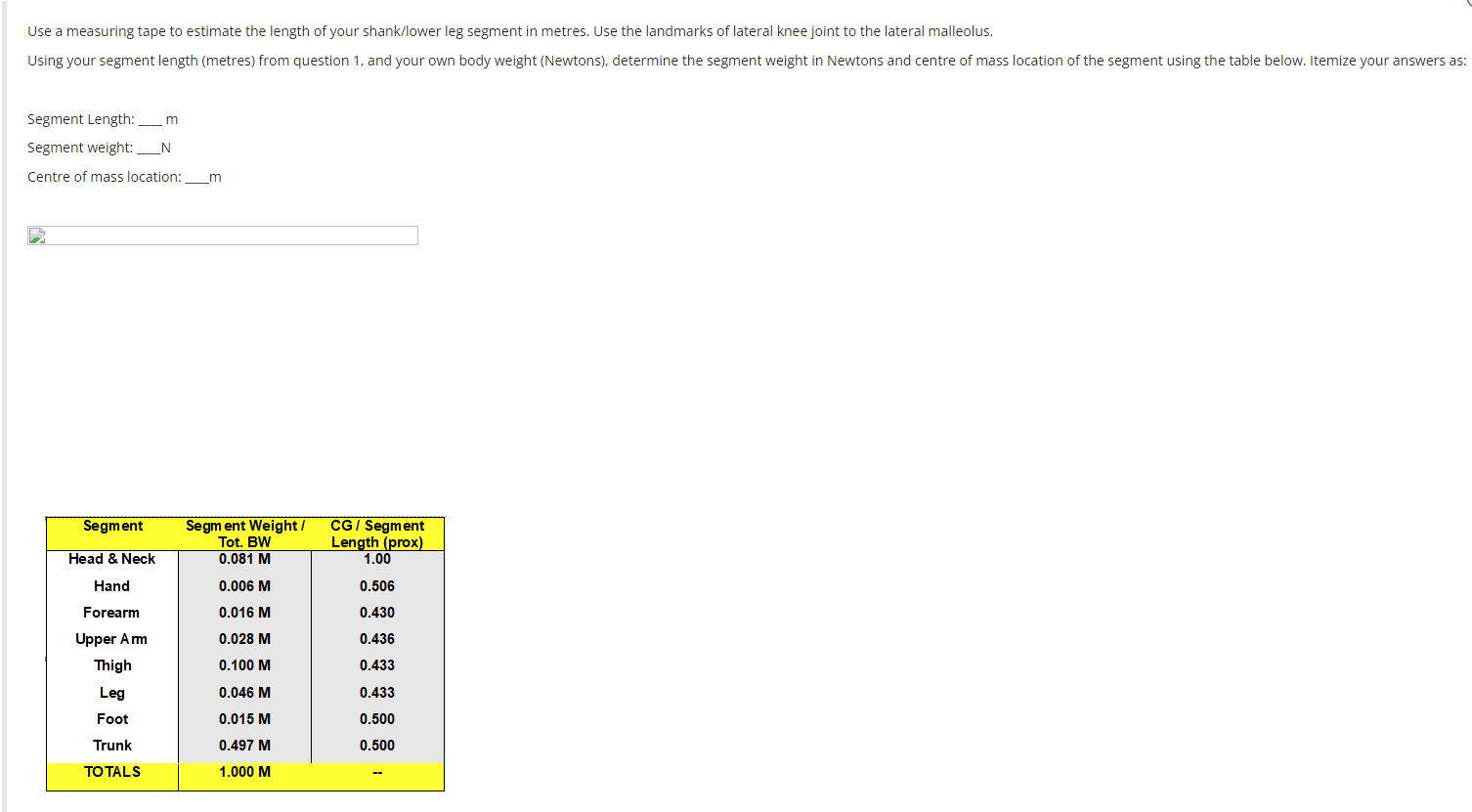 Solved Use a measuring tape to estimate the length of your | Chegg.com