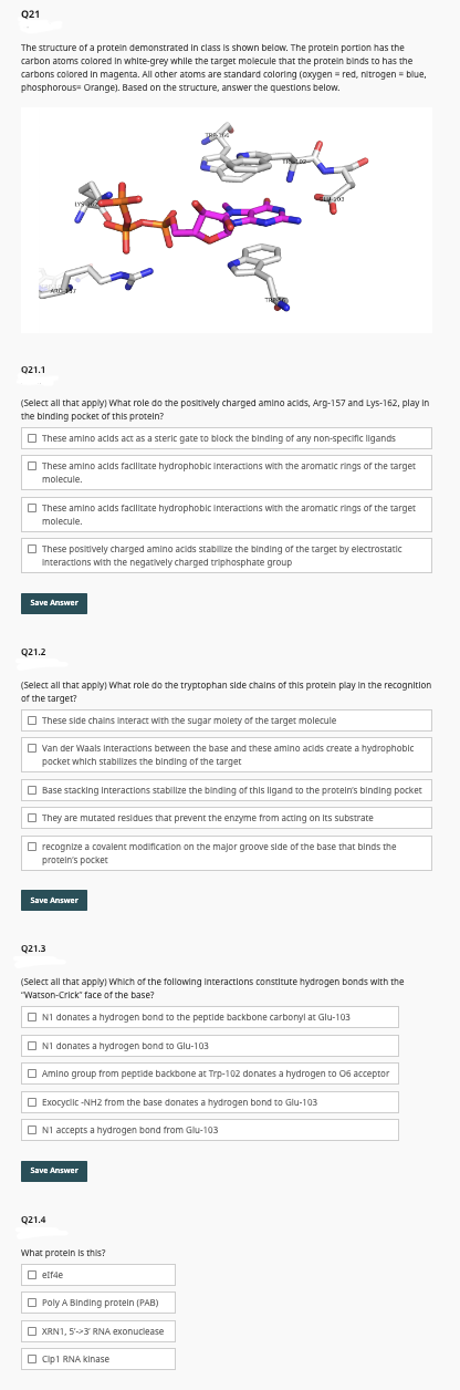 Solved What are the answers to the multiple choice | Chegg.com
