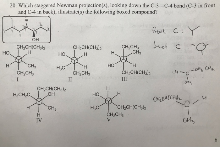 Solved 20. Which staggered Newman projection(s), looking | Chegg.com