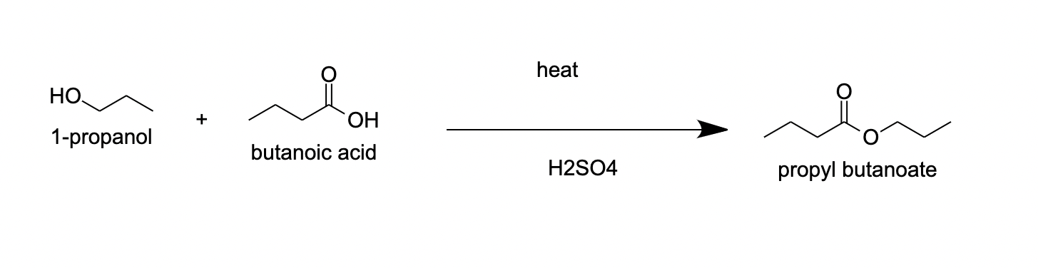Solved please write the reaction for the formation of propyl | Chegg.com