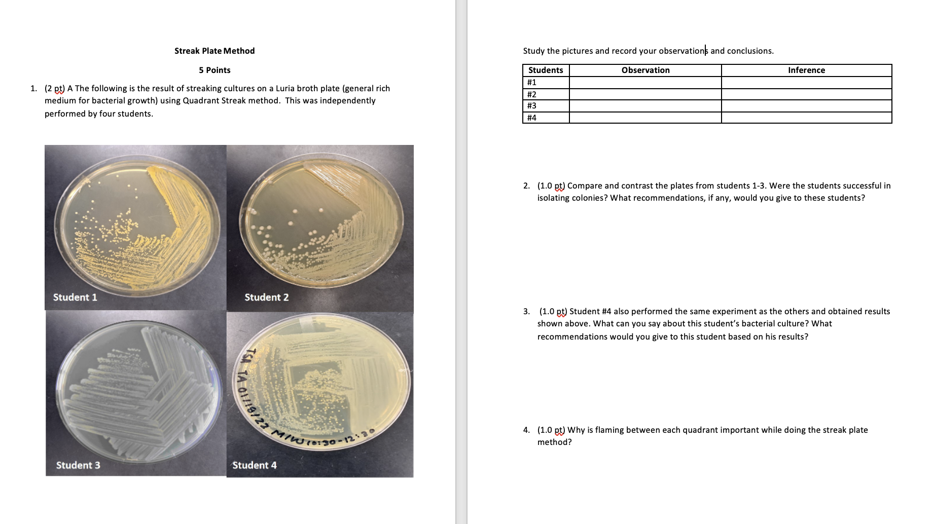 Solved Streak Plate Method 5 Points 1. (2 pt)A The following | Chegg.com
