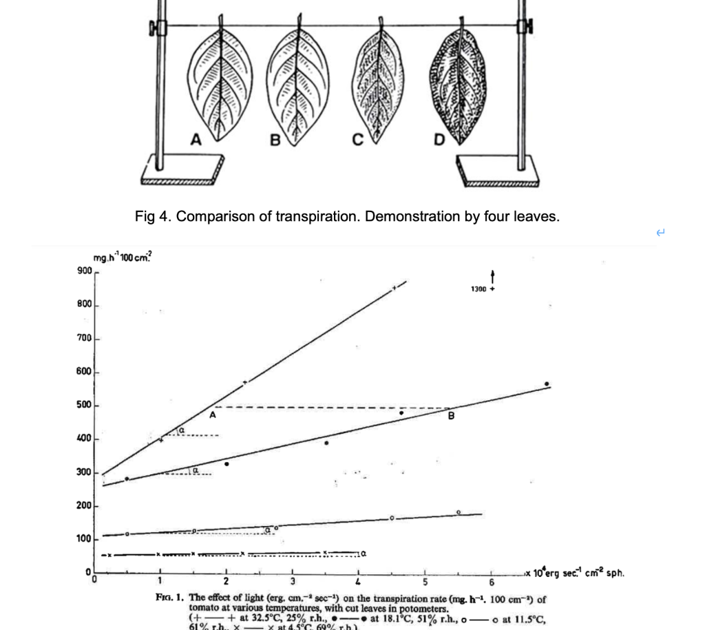 Solved Describe (i) the results displayed by each line | Chegg.com